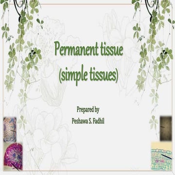 tissues cbse grade 9 science biology.pptx