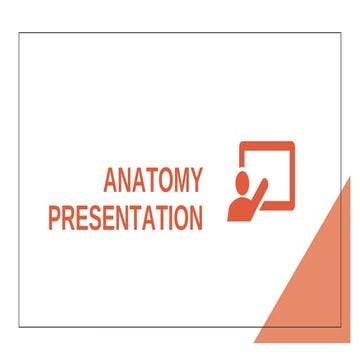 anatomy of GIT through Radiology imaging.pdf