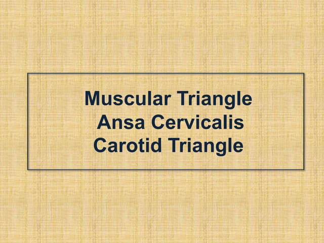 Ansa cervicalis | PPTX