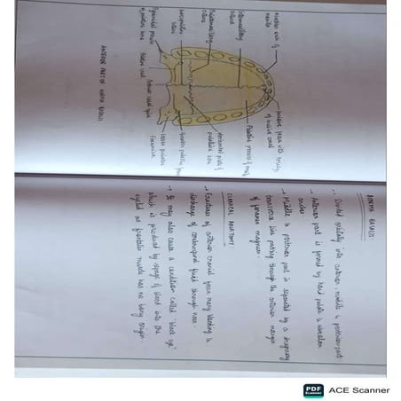anatomy record bams 1st year rachana sharir | PDF