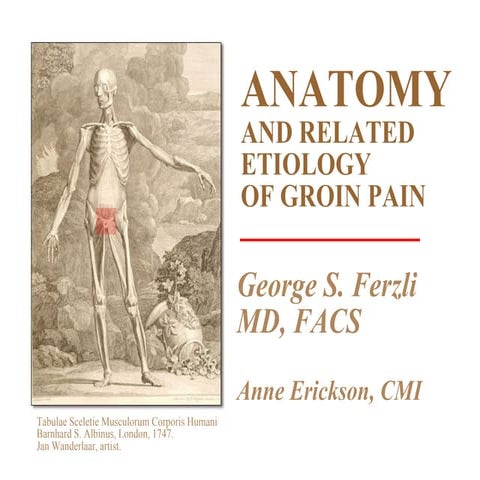 Anatomy and Related Etiology of Groin Pain | PPT