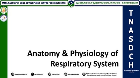Grade 8 - Respiratory System | PPT