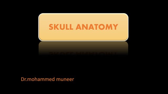Anatomy Skull Anatomy Drmohammed Ppt