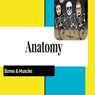 Anatomy Slides.pdf