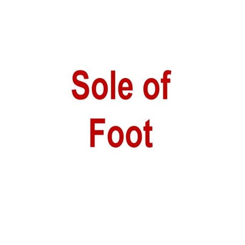 Sole Of Foot Final.pptx