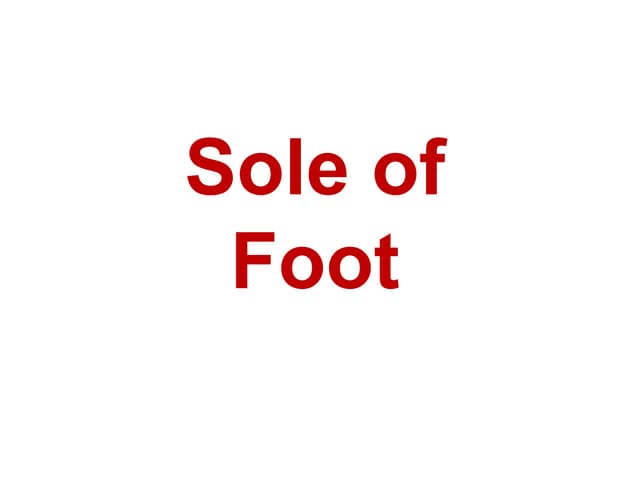 Gross anatomy and four Layers of sole,Applied aspect | PPT