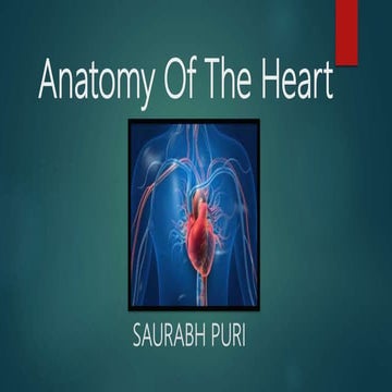 Anatomy of the Heart | PPT