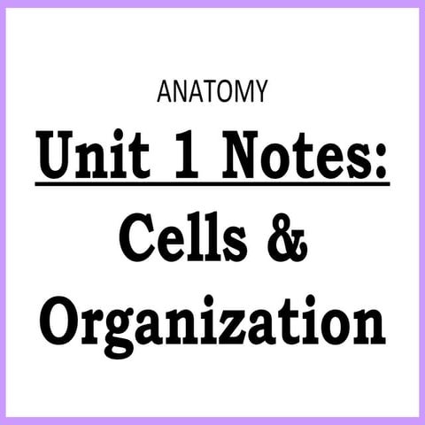 Anatomy Unit 1 Notes: Cells & Organization | PPT