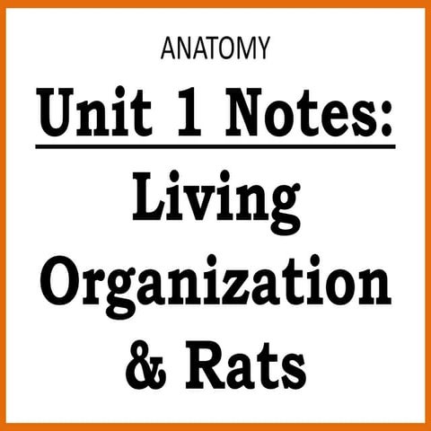 Anatomy Unit 1 Notes: Living Organization & Rats | PPTX