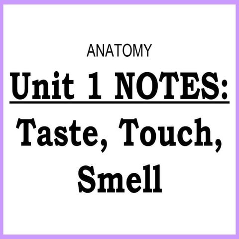 Anatomy Unit 1 Notes: Taste, Touch & Smell | PPT