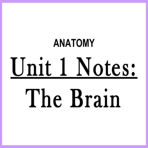 Anatomy Unit 1 Notes: The Brain | PPT