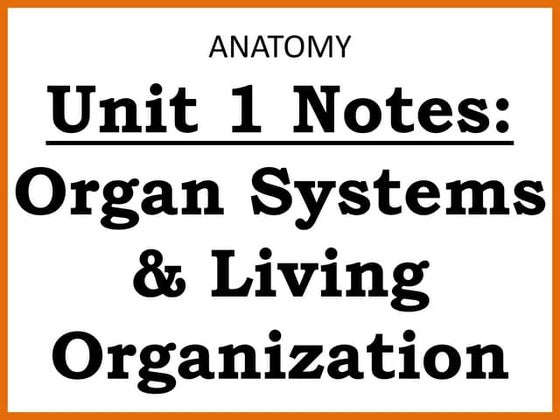 Anatomy unit 5 skeletal and muscular systems human skeletal anatomy ...