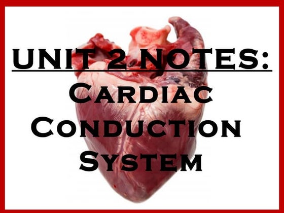 Anatomy Unit 2 Notes: Heart Dissections | PPT