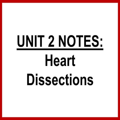 Anatomy Unit 2 Notes: Heart Dissections | PPTX