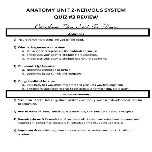 Anatomy unit 2 nervous system everything you need to know and drill ...