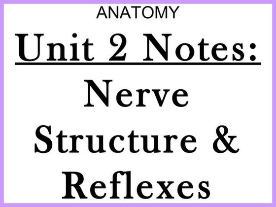 Anatomy unit 3 cardio and respiratory systems heart dissection notes | PPTX