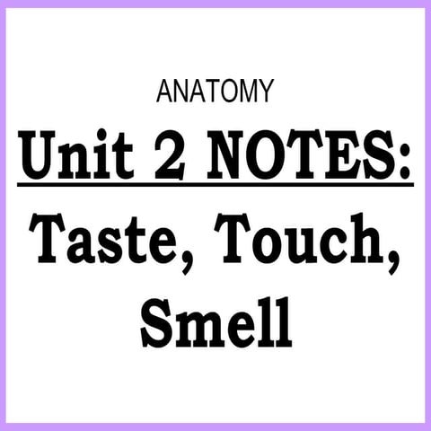 Anatomy unit 2 nervous system taste touch smell notes | PPT