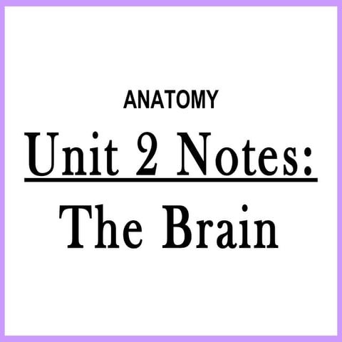 Anatomy unit 2 nervous system the brain notes | PPT