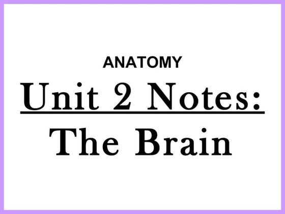 Anatomy unit 2 nervous system brain dissection notes | PPT