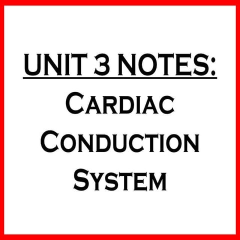 Anatomy unit 3 cardio and respiratory systems cardiac conduction notes ...