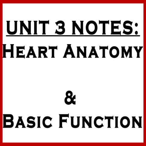 Anatomy unit 3 cardio and respiratory systems heart anatomy notes | PPT
