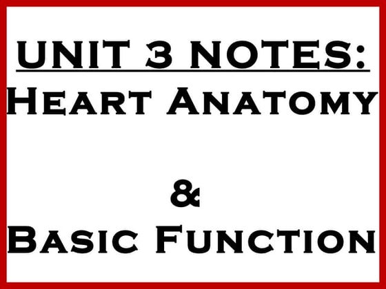 Anatomy unit 3 cardio and respiratory systems heart dissection notes | PPTX