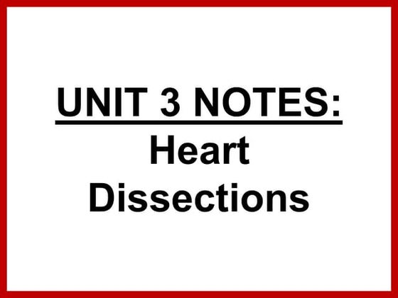 Anatomy unit 4 digestive and excretory systems small intestine notes | PPT
