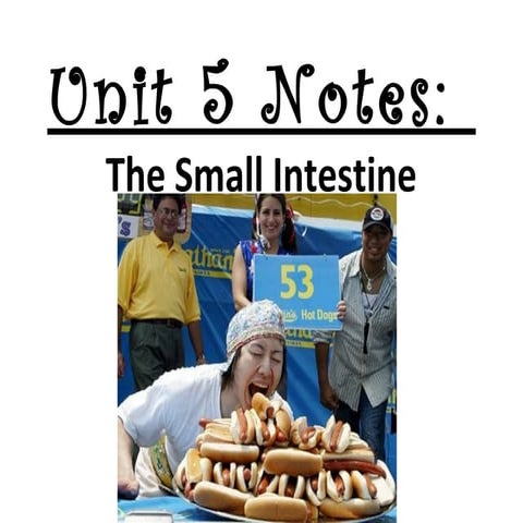 Anatomy unit 4 digestive and excretory systems small intestine notes | PPT