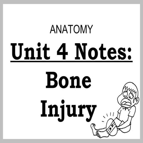 Anatomy Unit 4 Notes: Bone Injury | PPT