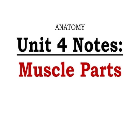 Anatomy Unit 4 Notes: Muscle Types & Parts | PPT