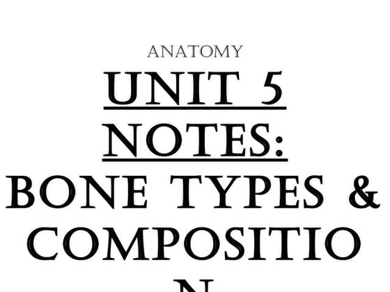 Grade 3rd bones and skeleton | PDF