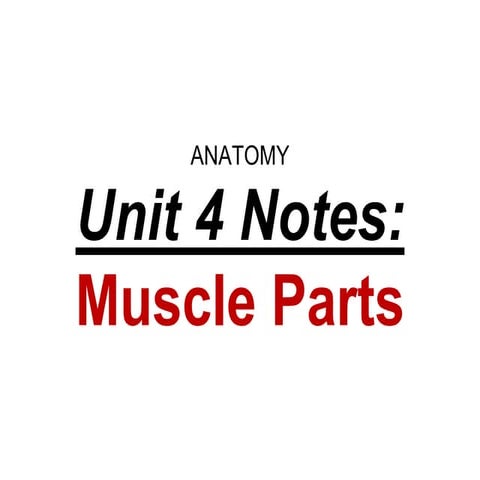 Anatomy unit 5 skeletal and muscular systems muscle types notes | PPT
