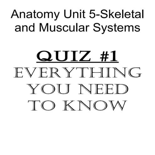 Anatomy unit 5 skeletal and muscular systems quiz #1 everything you ...