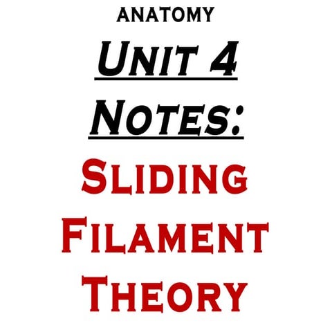 Anatomy unit 5 skeletal and muscular systems sliding filament theory ...
