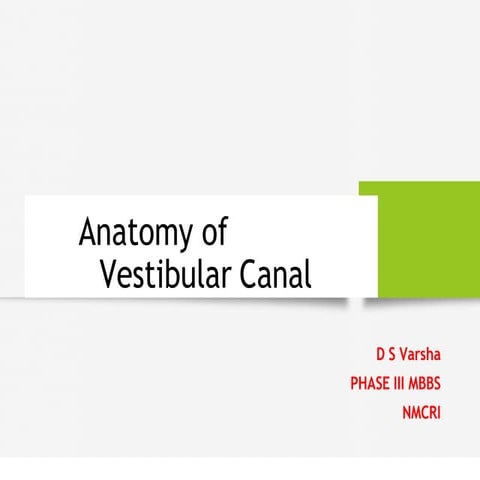anatomy vestibular anatomy Ear nose throat | PPTX | Biological Sciences ...