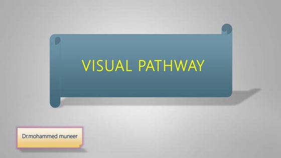 The embryology and anotomy of the optic nerve and its blood supply up to the optic chiasm | PPTX