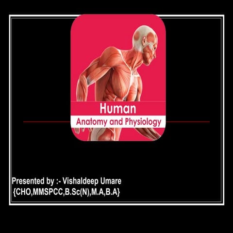 Introduction to Human Body Systems.ppt Unit I | PPT