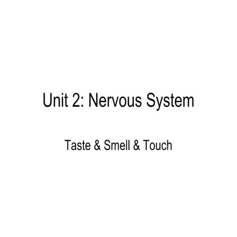 Anat unit 2 taste touch smell notes | PPT