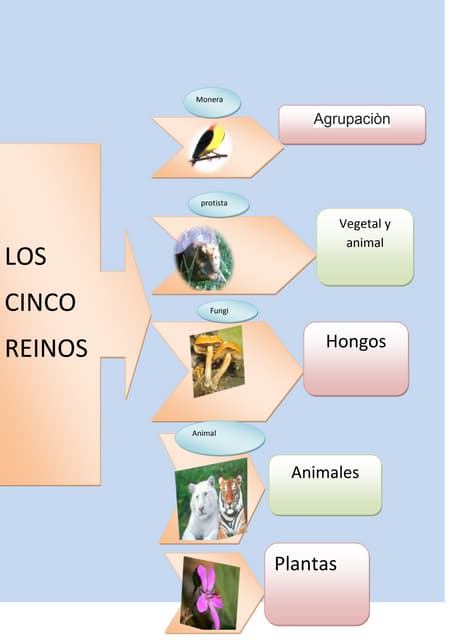 Michelle_Teel_Reference_Letters[1] | PDF