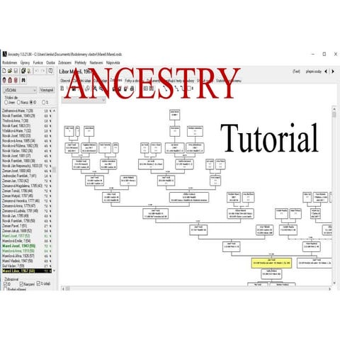Ancestry Tutorial | PPT