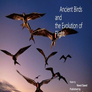 Ancient birds and the Evolution of flight by Nawal and Tahaa | PPTX