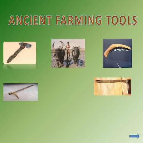 Traditional Agricultural Tools With Names