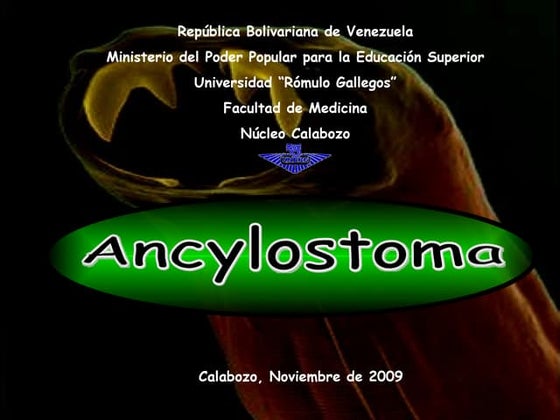 Anecdotic | PDF