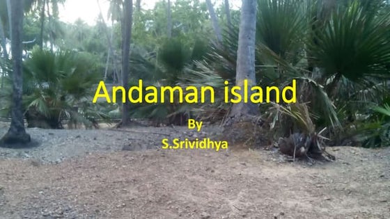 simple exercises in Macromedia flash 8 | DOCX | Computer Animation ...