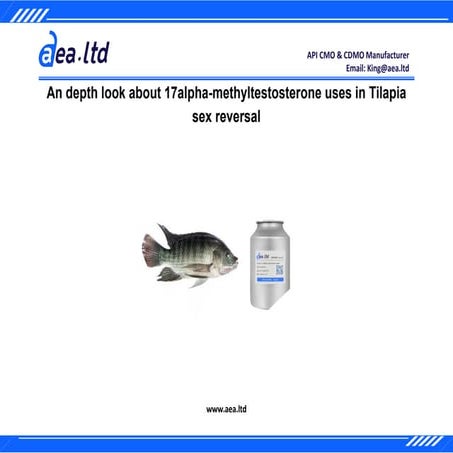 An depth look about 17alpha-methyltestosterone uses in Tilapia sex ...