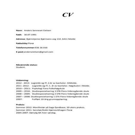 Anders cv | DOCX