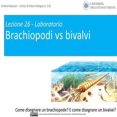 Laboratorio (brachiopodi vs bivalvi) | PDF