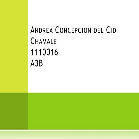 Andrea concepcion del cid chamale | PPTX