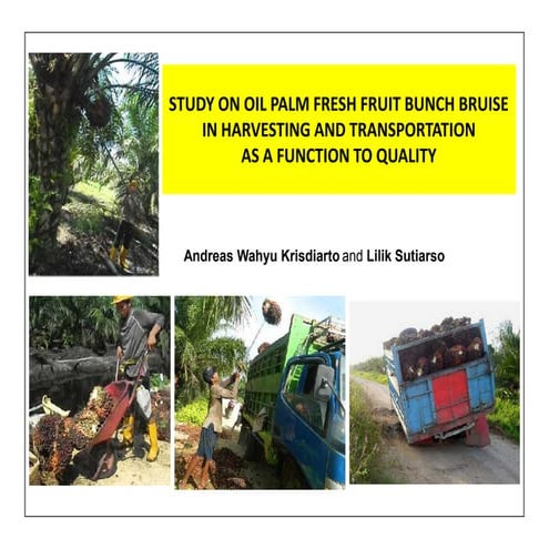 study on oil palm fresh Fruit Bunch Bruise as a function to quality | PDF