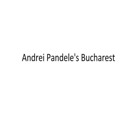 Andrei Pandele S Bucharest | PPS